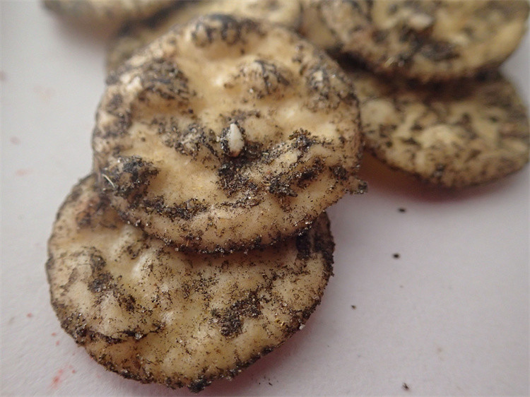 Corn Flavor Senbei Rice Crackers 5kg Black Sesame Rice Cracker